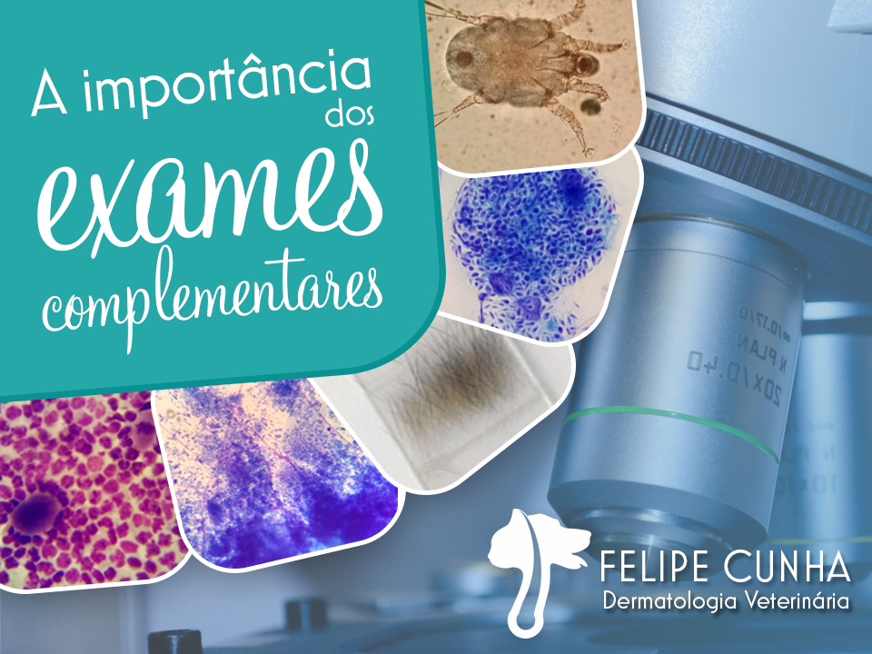 Sobre a realização de exames complementares – Felipe Cunha ...